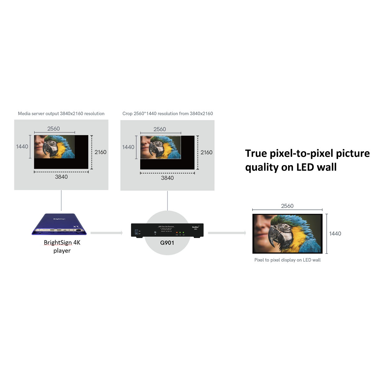 The Synergy of Using BrightSign Player with GeoBox video Controller ...